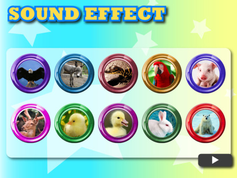 Animals Cute Sounds HD - FanAppic.com